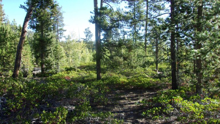Locations - Second Nature